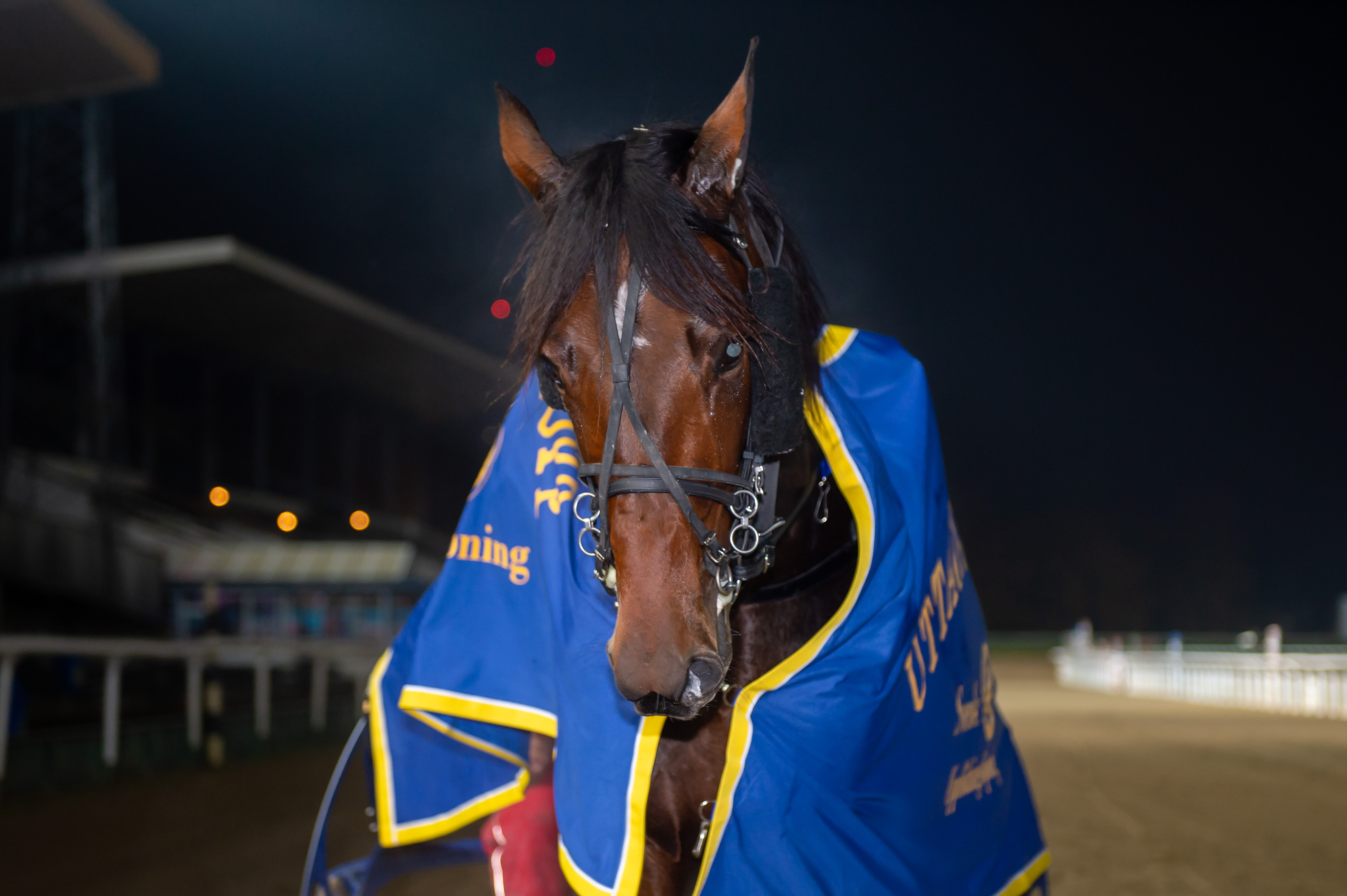 Tetrick Wania i snabbare banjobb